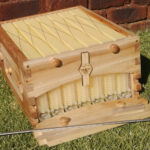 Auto Flow Beehive (Option 4) – Easy Beesy Auto Beehives