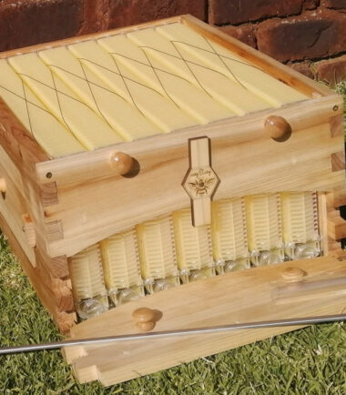 Beehives – Easy Beesy Auto Beehives