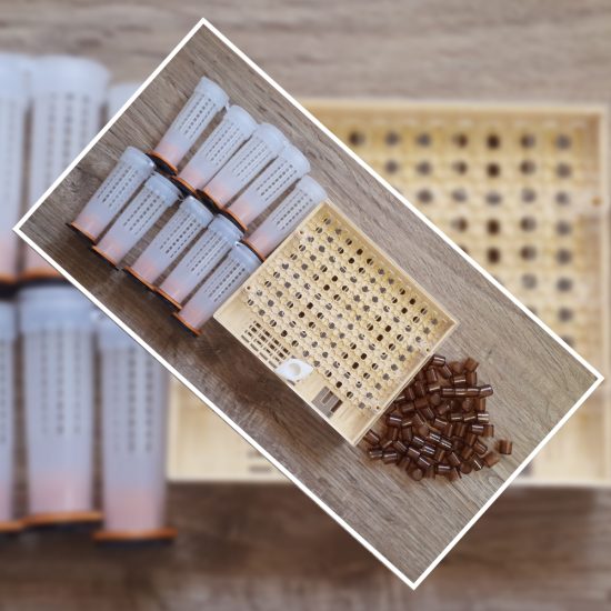 Queen Rearing Kit (Nicot) – Easy Beesy Auto Beehives